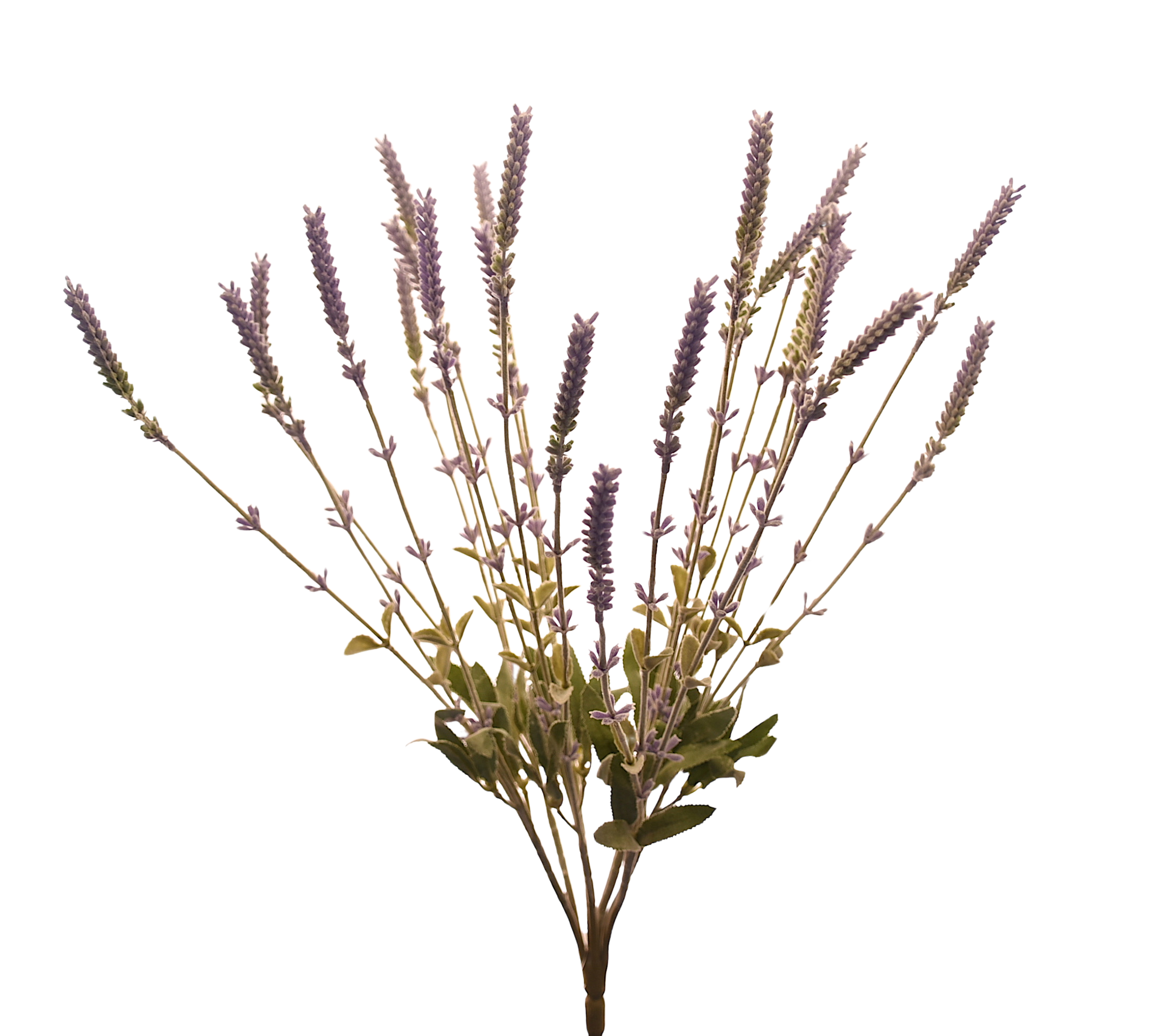 BUSH LAVANDA AZUL – B-Linda Creaciones