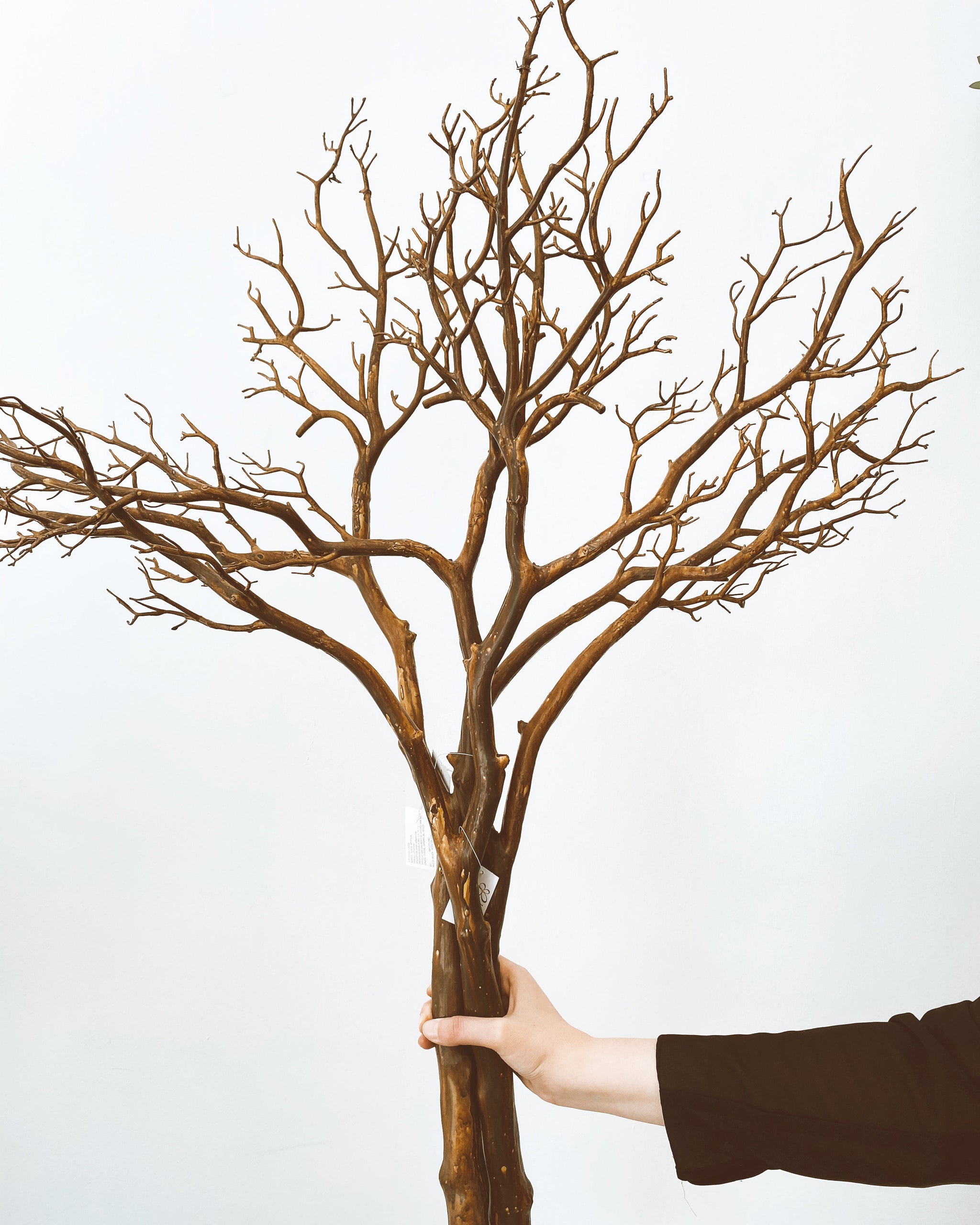 Caja rama seca grande – B-Linda Creaciones