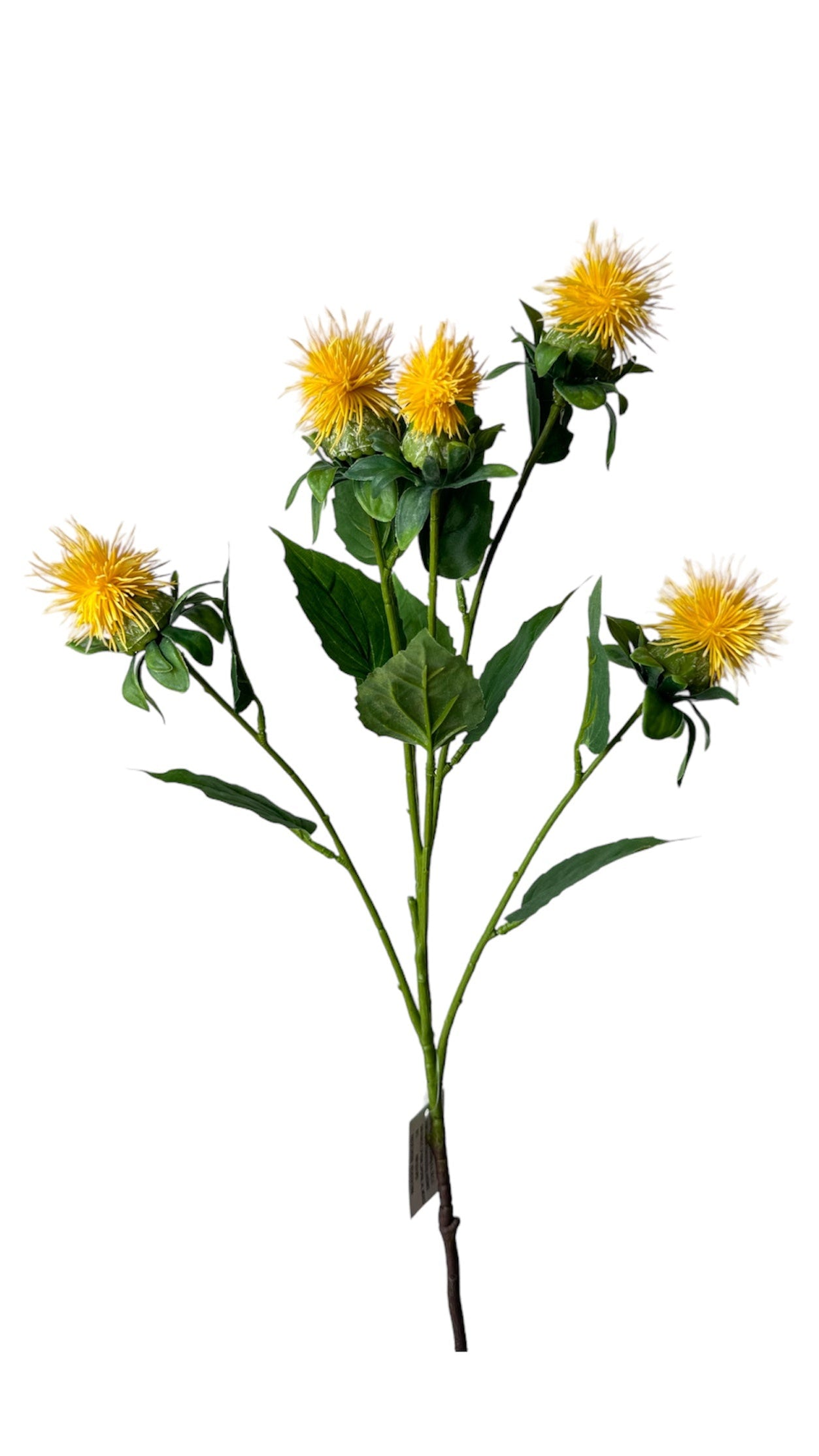 AZAFRAN AMARILLO – B-Linda Creaciones