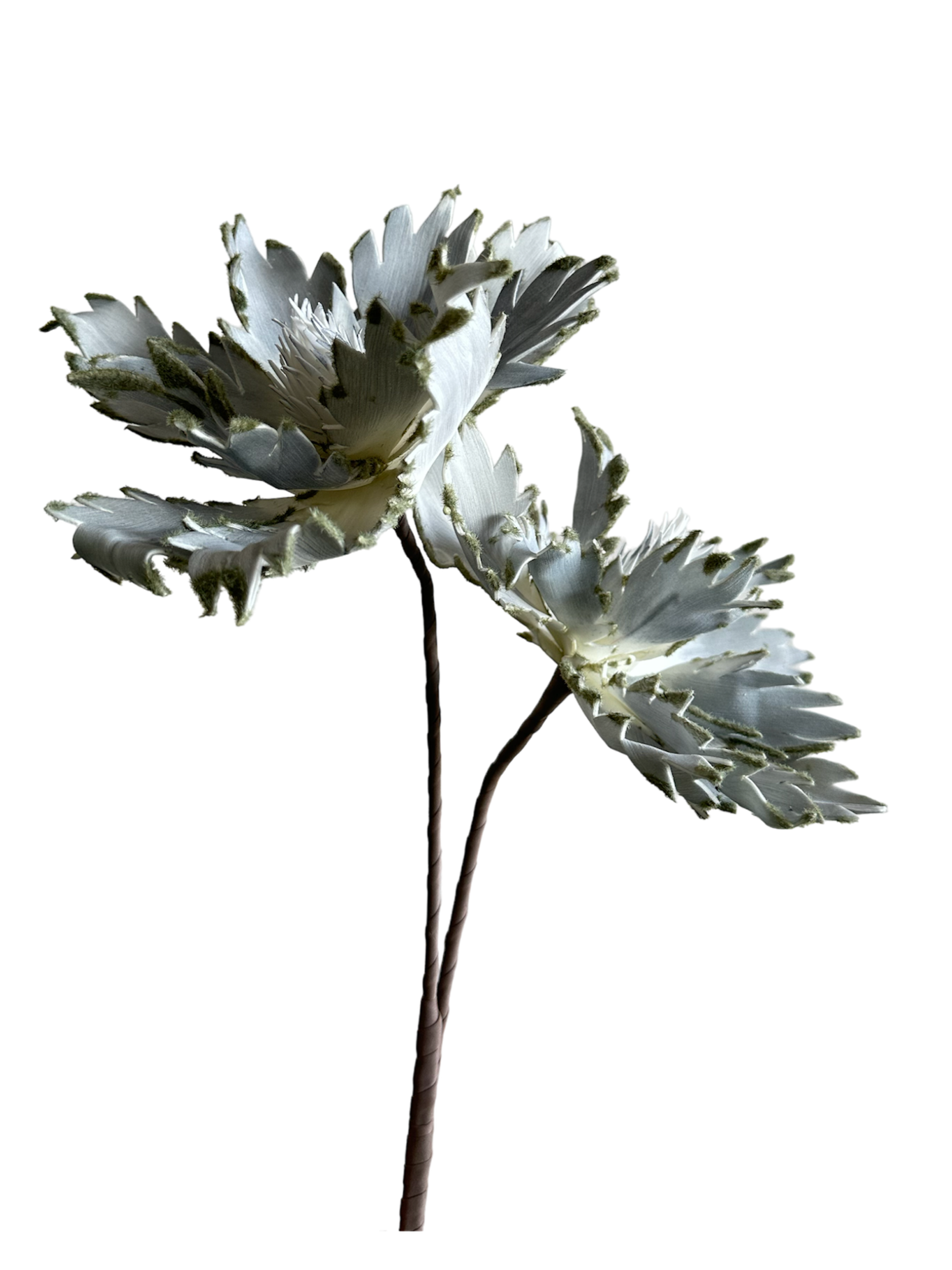 FUZZY AGAVE GRIS 114 CM – B-Linda Creaciones