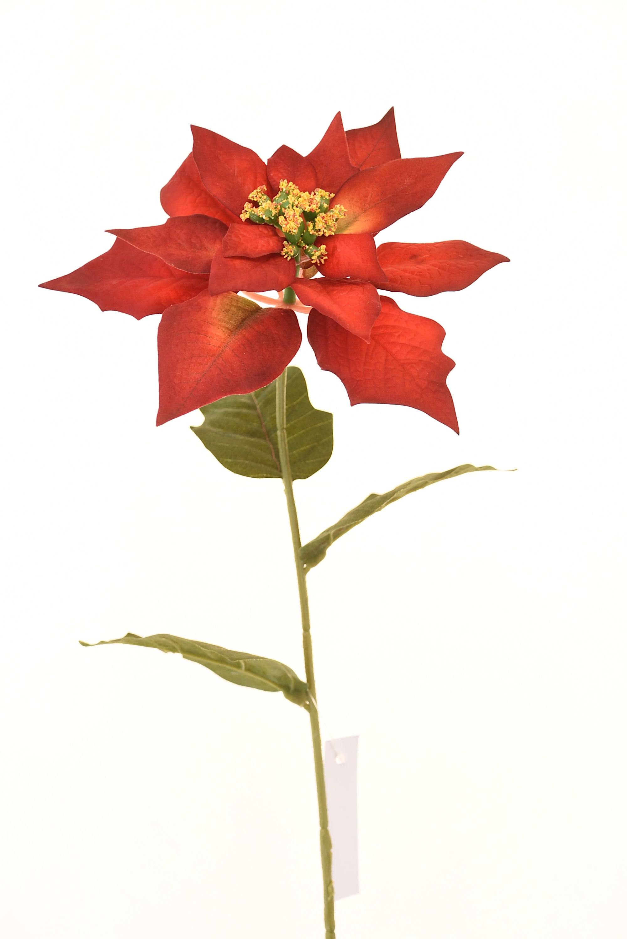 NOCHEBUENA ROJA – B-Linda Creaciones